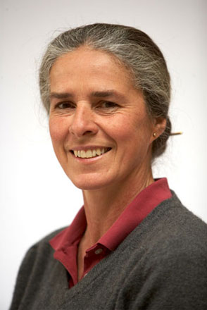 Robin Caiger-Smith - biography